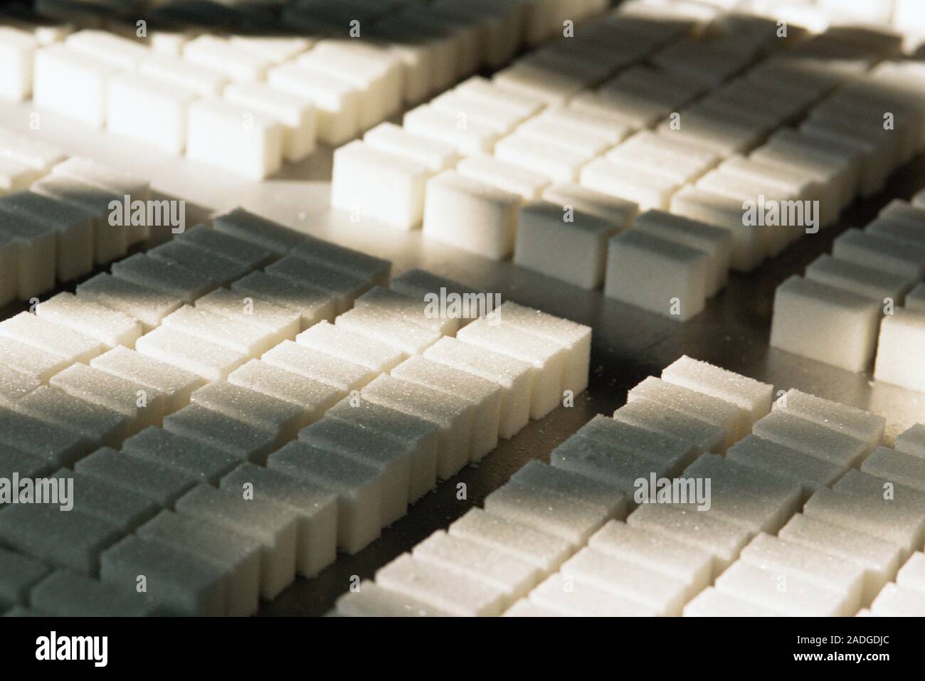 Sugar cubes. Cubes of refined white sugar (sucrose) ready for packaging ...