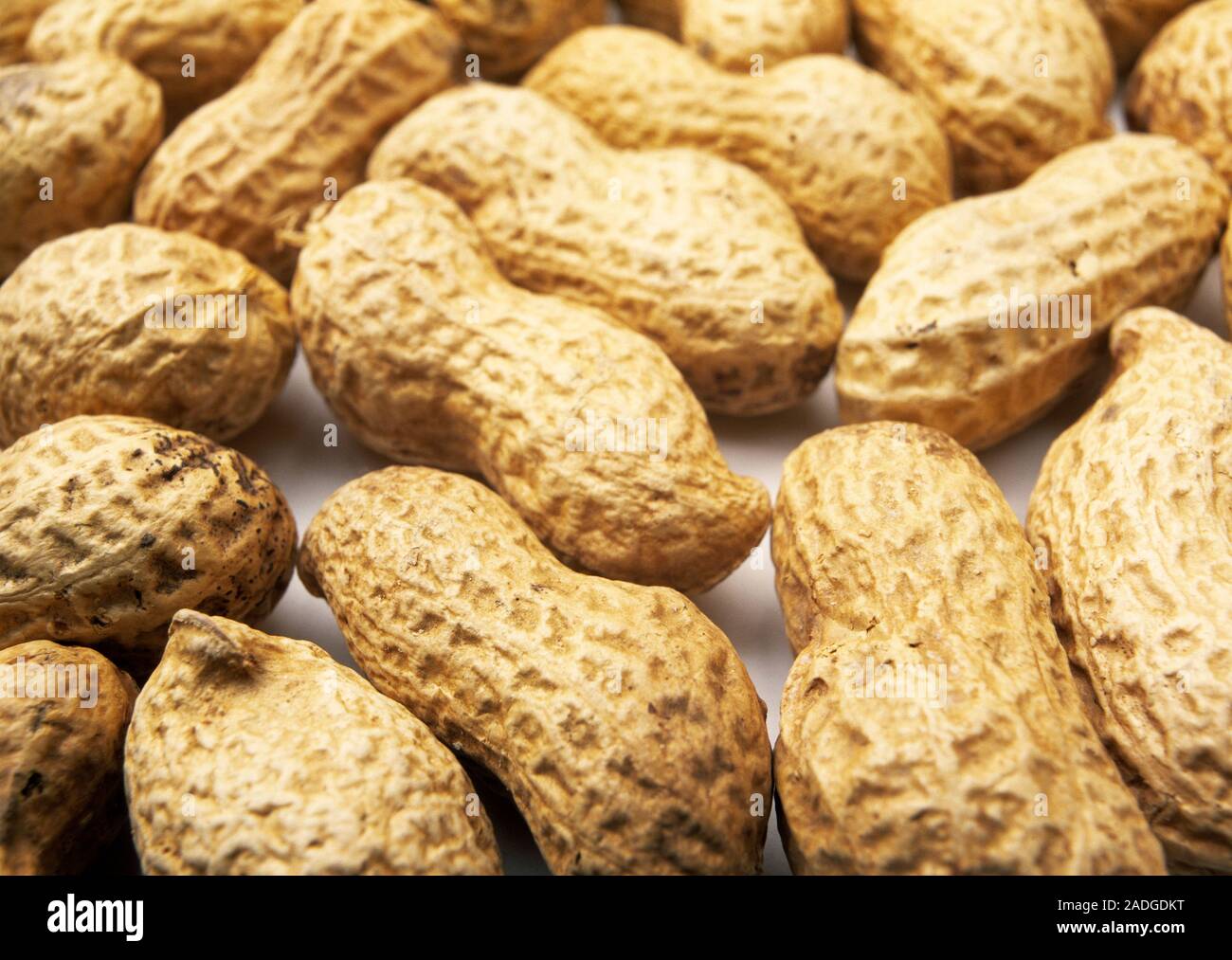 Unshelled peanuts (Arachis hypogaea). Peanuts are eaten roasted and ...