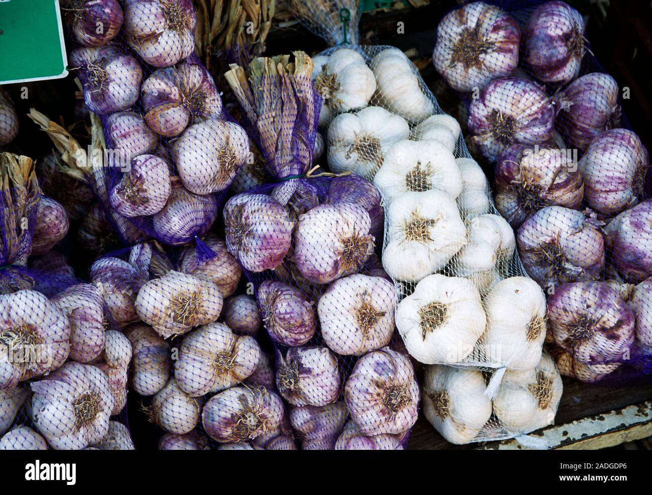 Garlic bundles. Bundles of dried garlic (Allium sativum), which are ...