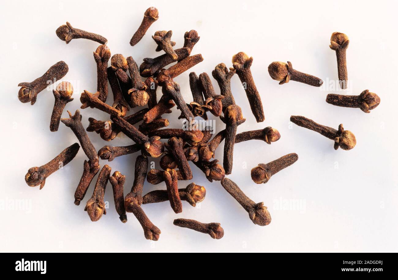 Cloves (Syzygium aromaticum). These are the dried flowering parts of ...