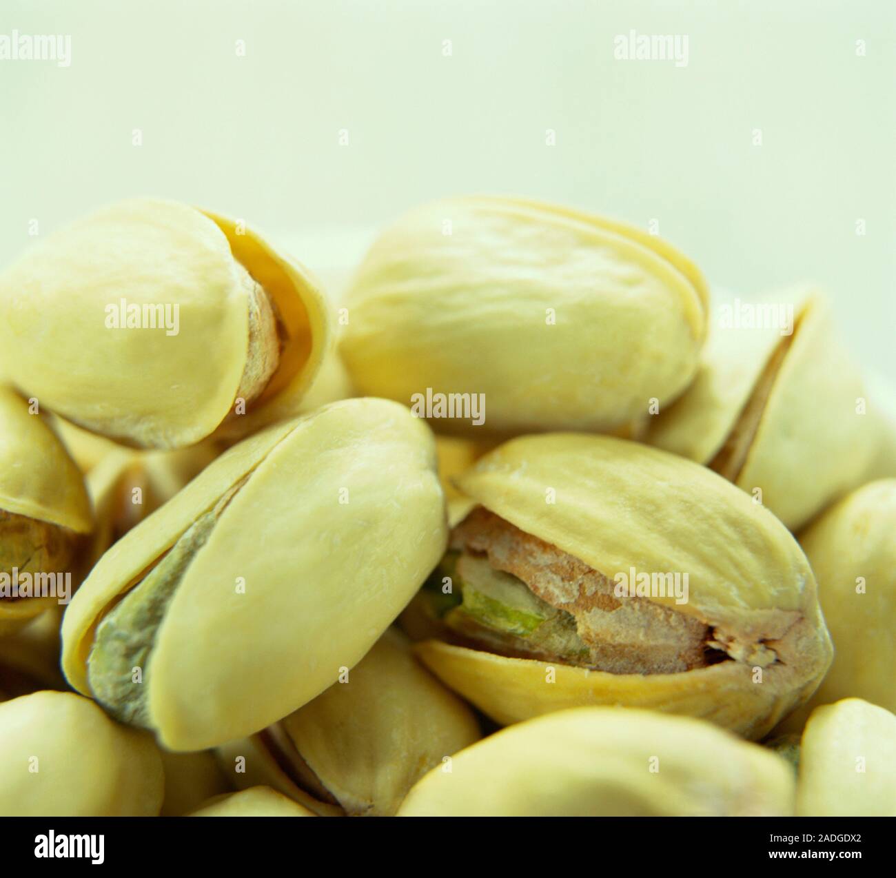 Pistachio nuts. Roasted, salted pistachio nuts (Pistacia vera) in their shells Stock Photo - Alamy