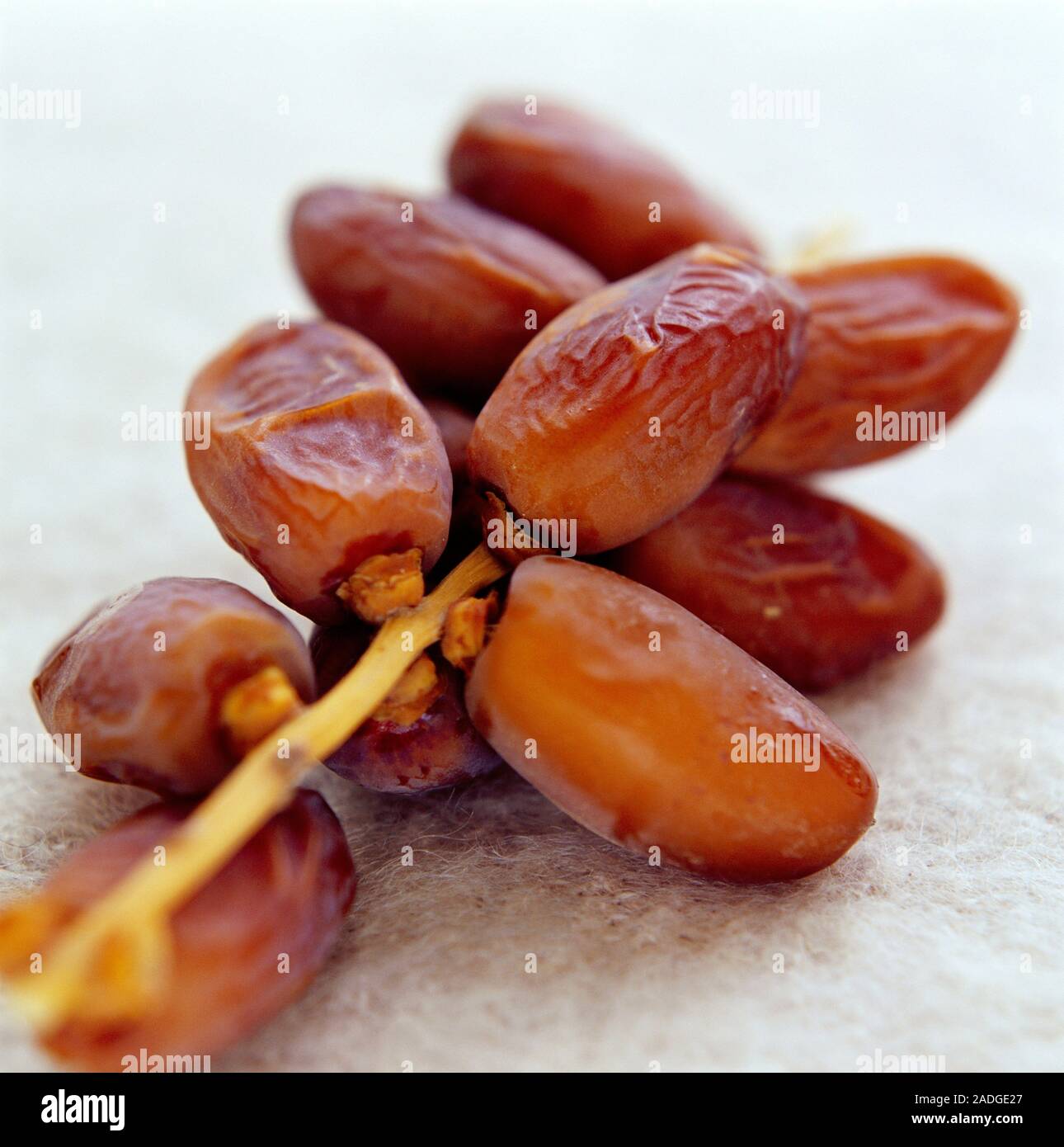 Dates. The date is the fruit of the female date palm tree (Phoenix ...