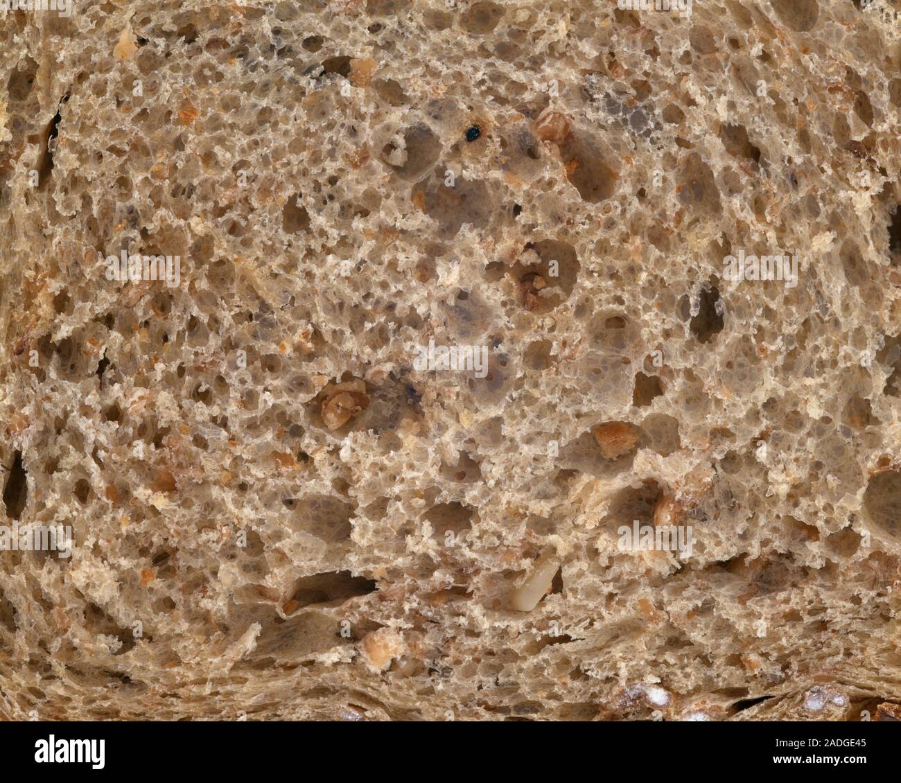 Wholewheat bread. Close-up of the spongy surface of wholewheat bread ...