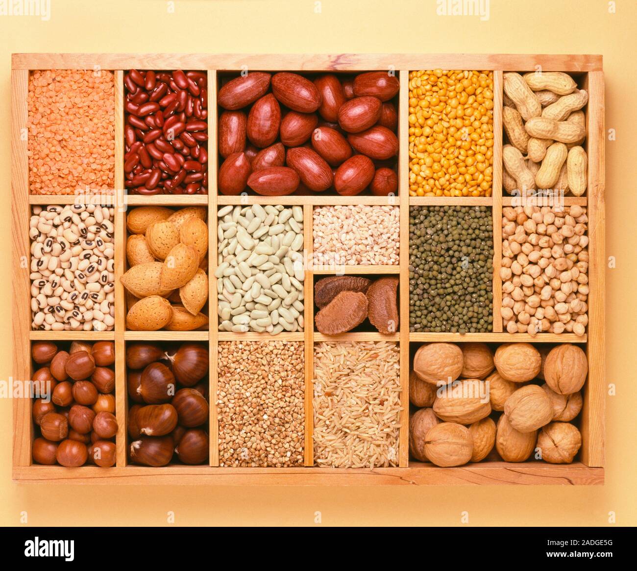 Nuts and pulses. Assortment of seeds that are used as food including ...