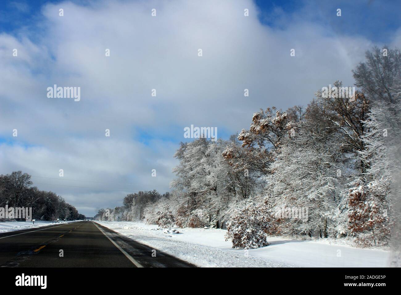 Snow Covered Trees Along The Road After An Early Winter Storm Stock ...