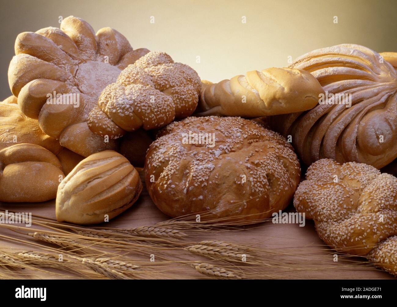 Breads and ears of wheat. Bread, made from wheat (Triticum sp.) flour, is a good dietary source ...