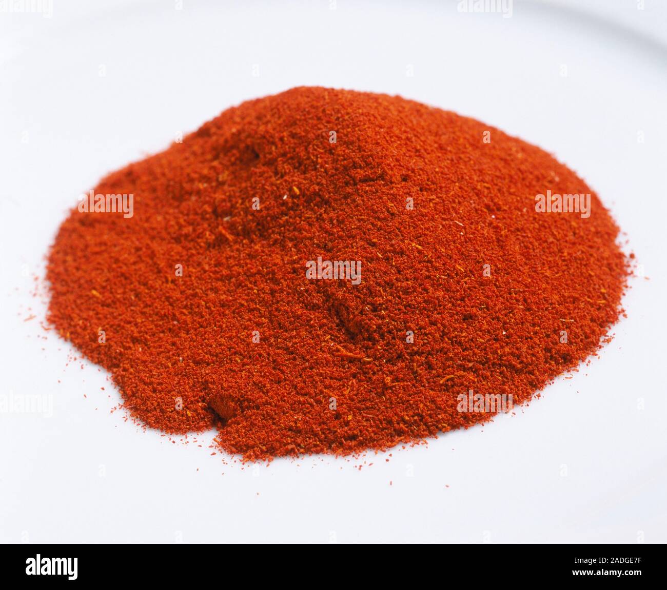 Saffron powder. Pile of ground saffron powder. Saffron is produced from ...