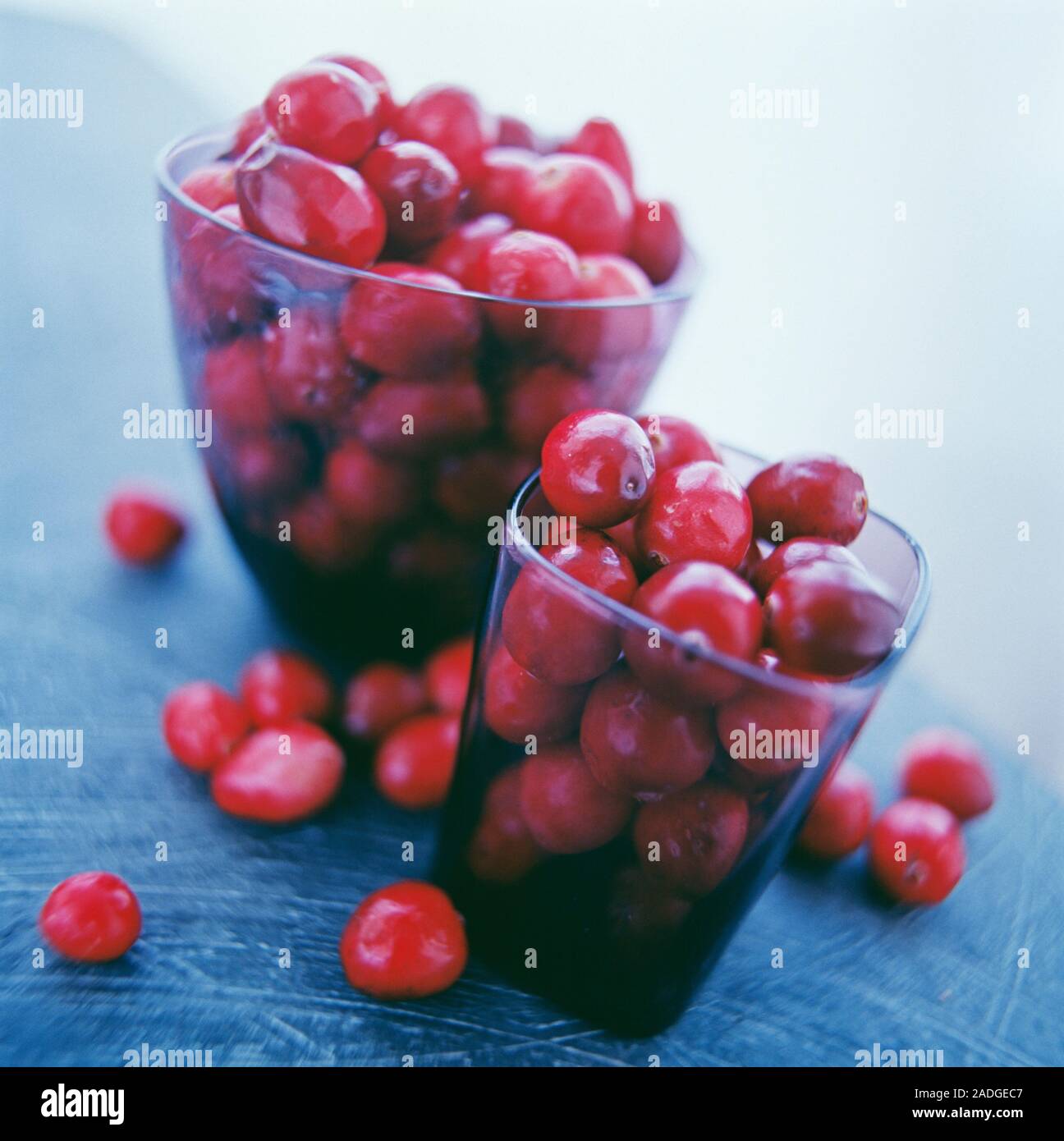 Cranberries in cups. Eating cranberries or drinking their juice can ...