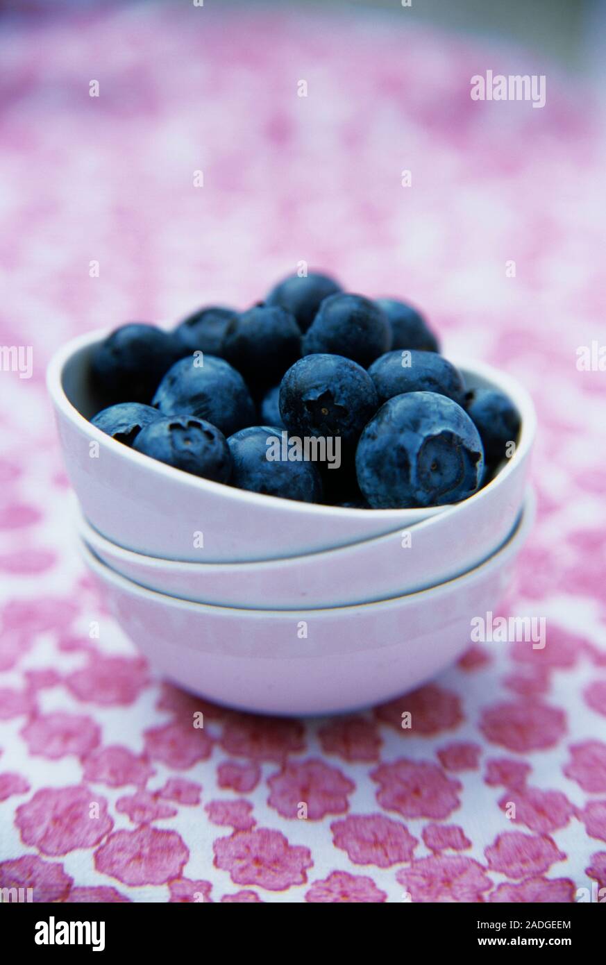Blueberries in stacked bowls. These are the fruit of the blueberry ...