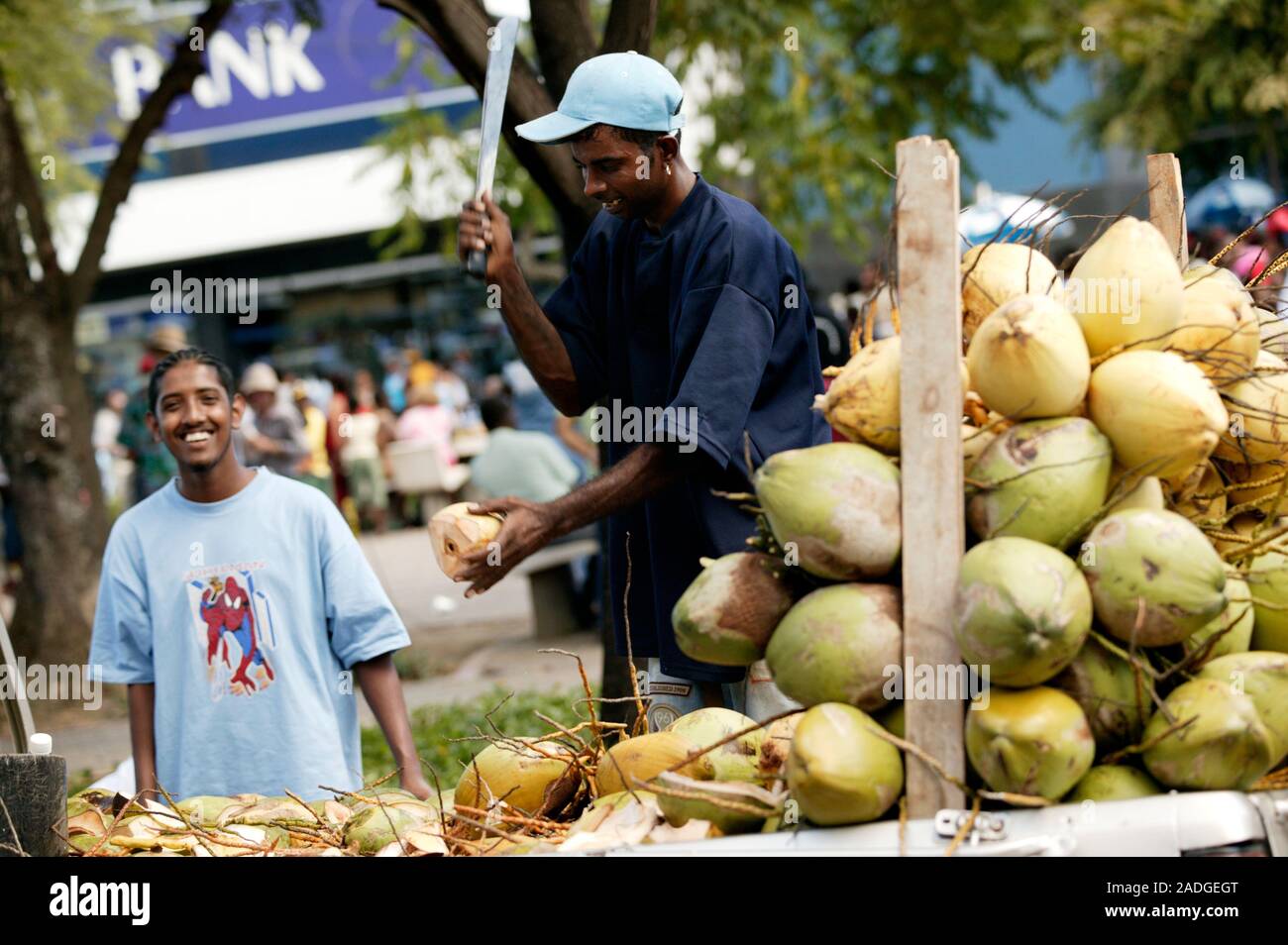 Young coconuts for sale. Coconuts are the fruit of the coconut palm ...