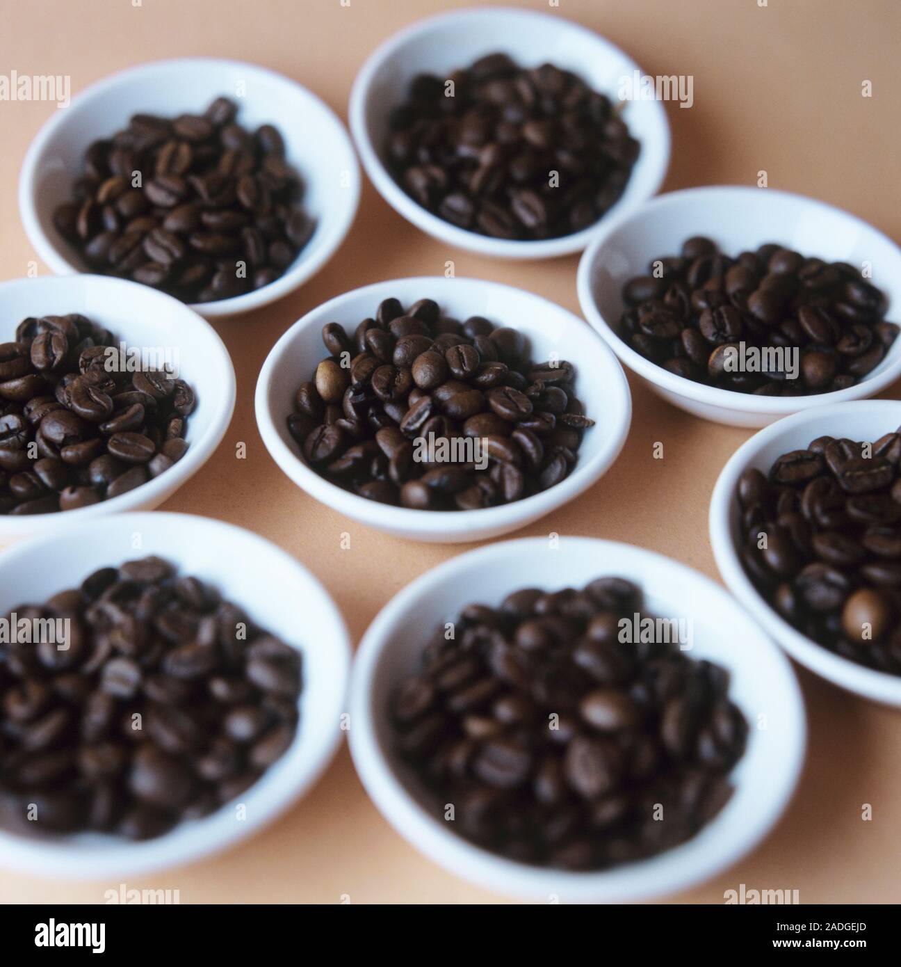Coffee beans in dishes. Coffee beans are predominantly used for making ...