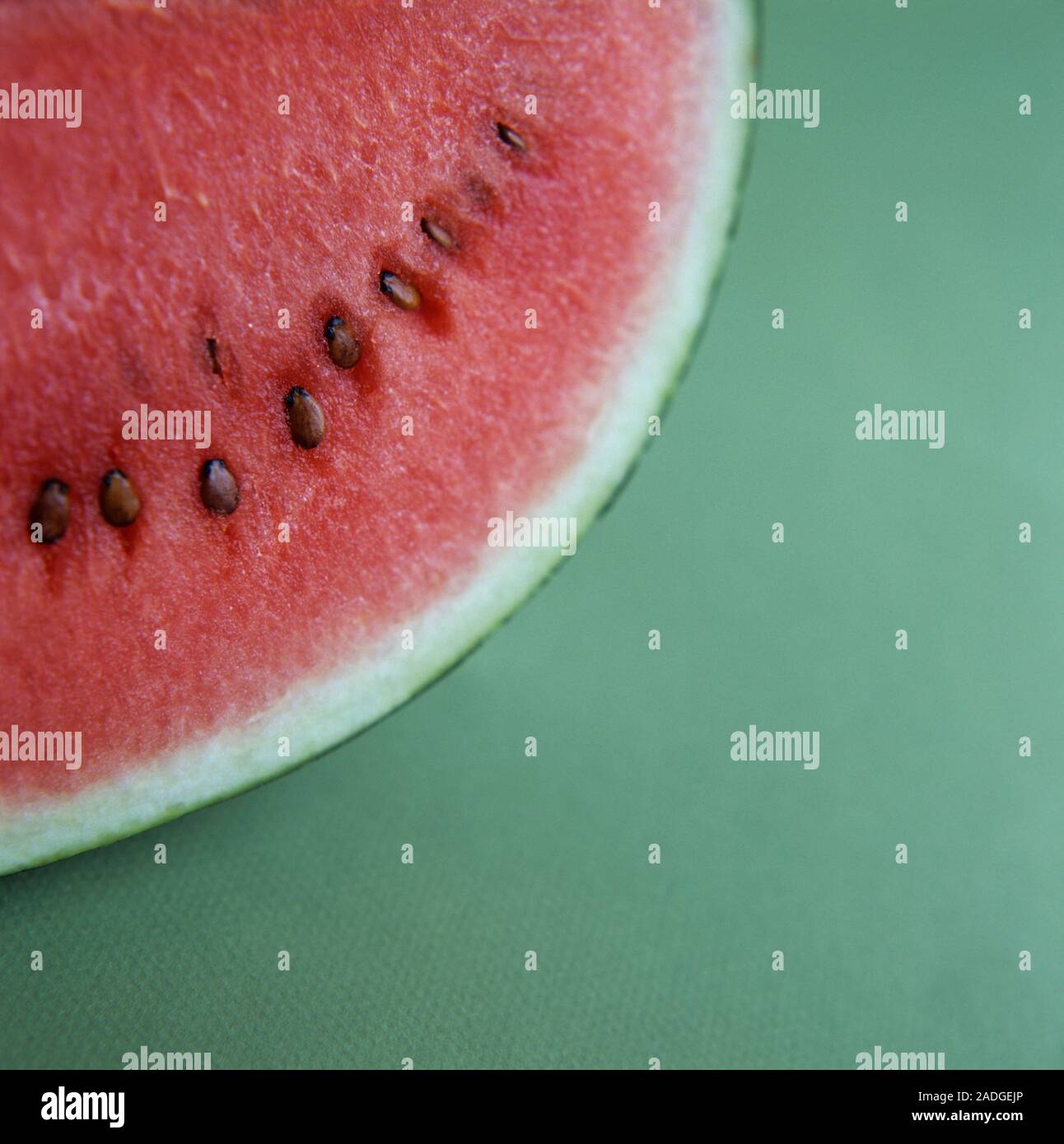 Watermelon (Citrullus vulgaris). The watermelon is native to tropical ...