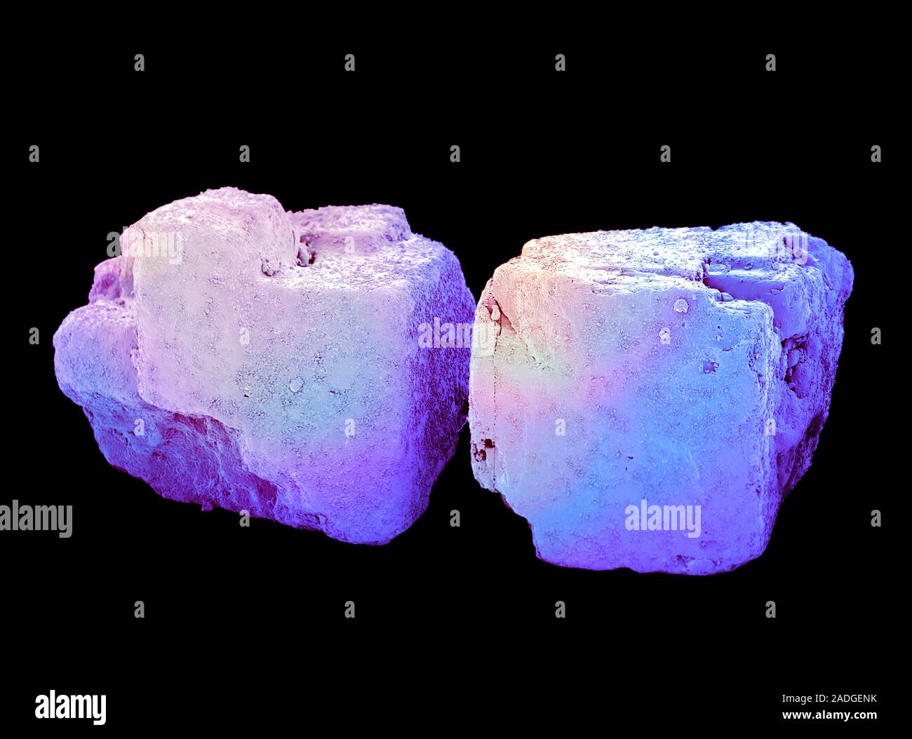 Salt. Coloured scanning electron micrograph (SEM) of sodium chloride ...