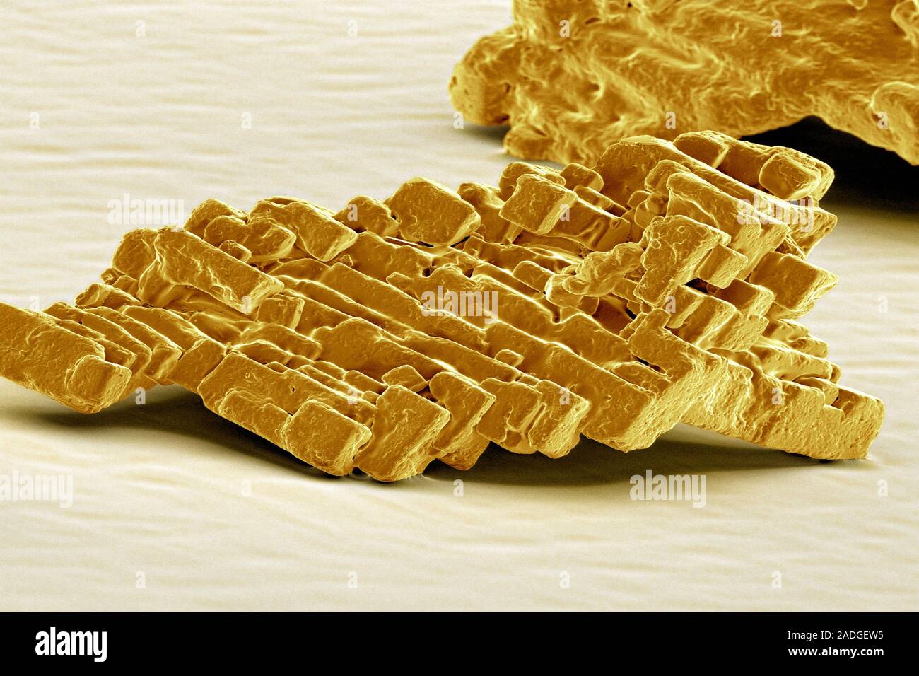 Kosher salt crystals. Coloured scanning electron micrograph (SEM) of a ...
