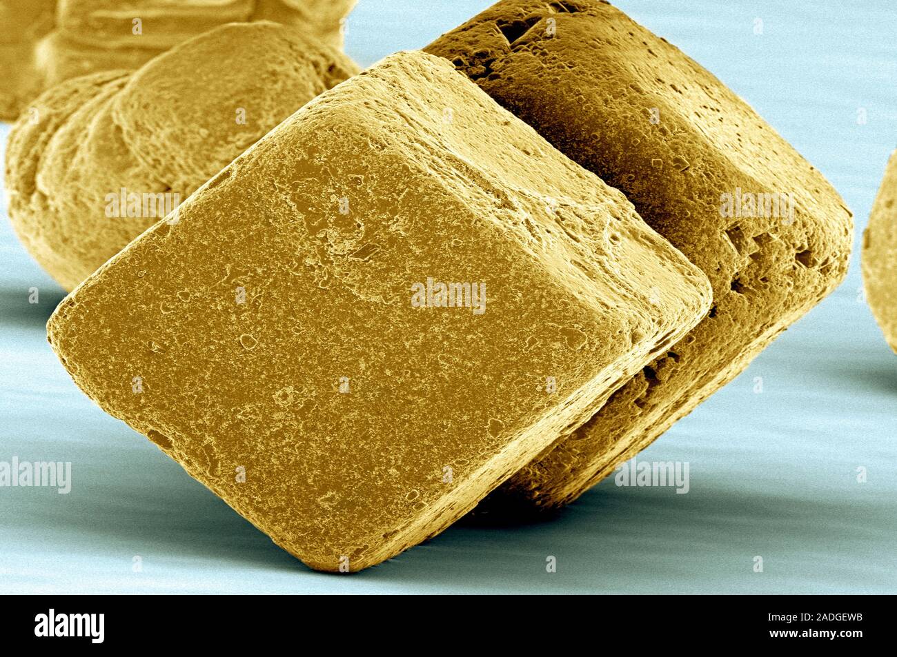 Table salt crystals. Coloured scanning electron micrograph (SEM) of ...