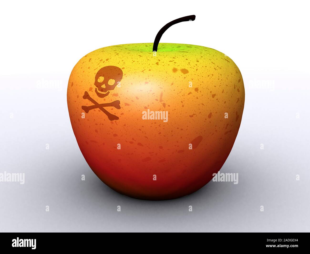 Poisoned apple. Computer artwork of an apple with the symbol for poison ...