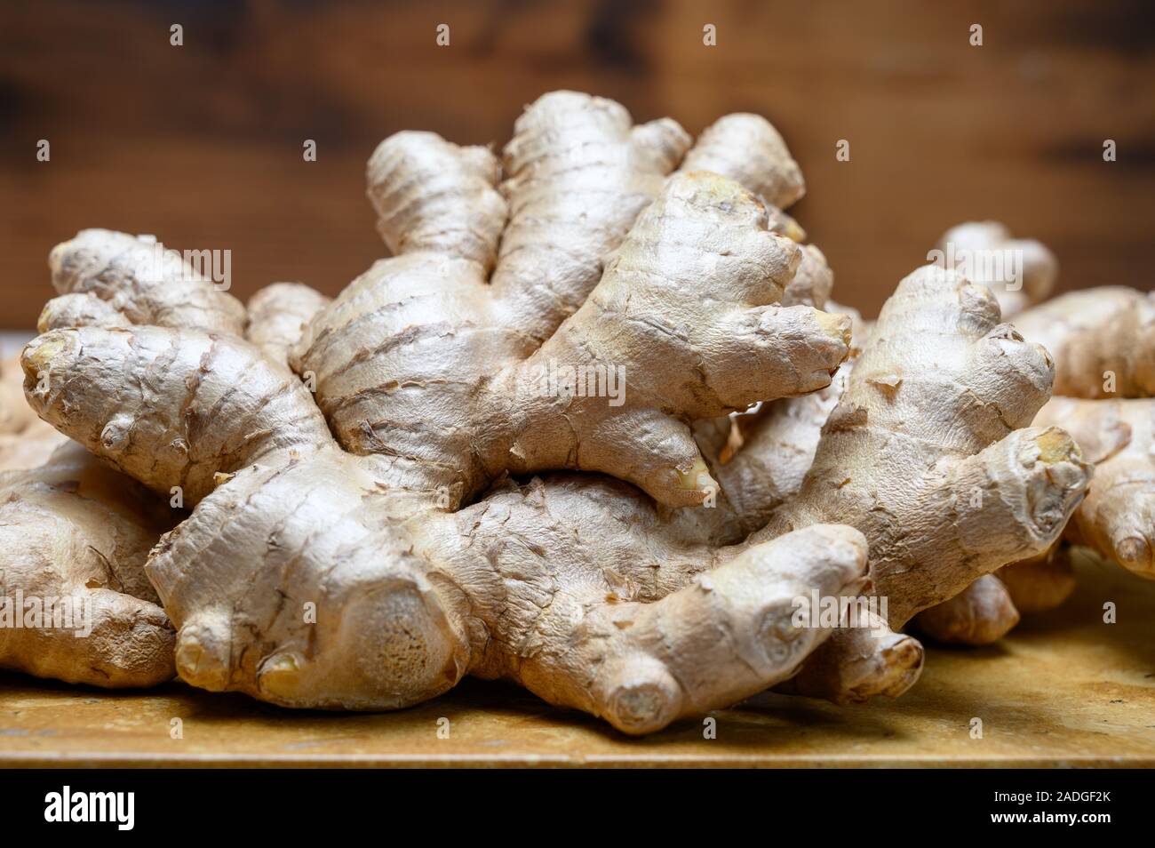 Group of fresh gember roots used for cooking and medicine Stock Photo ...