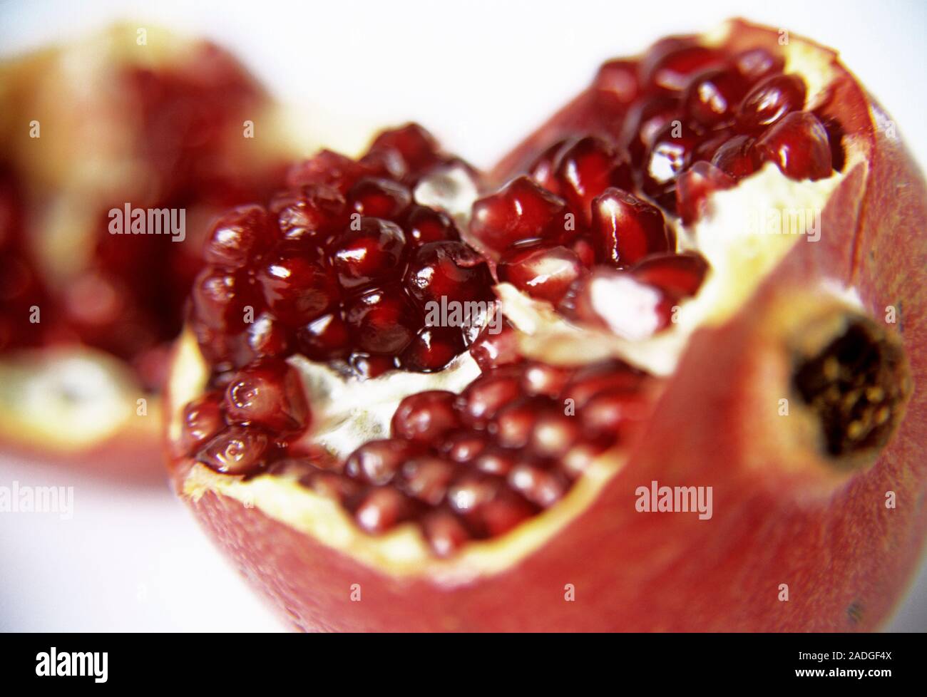 Pomegranate (Punica granatum), torn open to show its seeds. Each seed ...