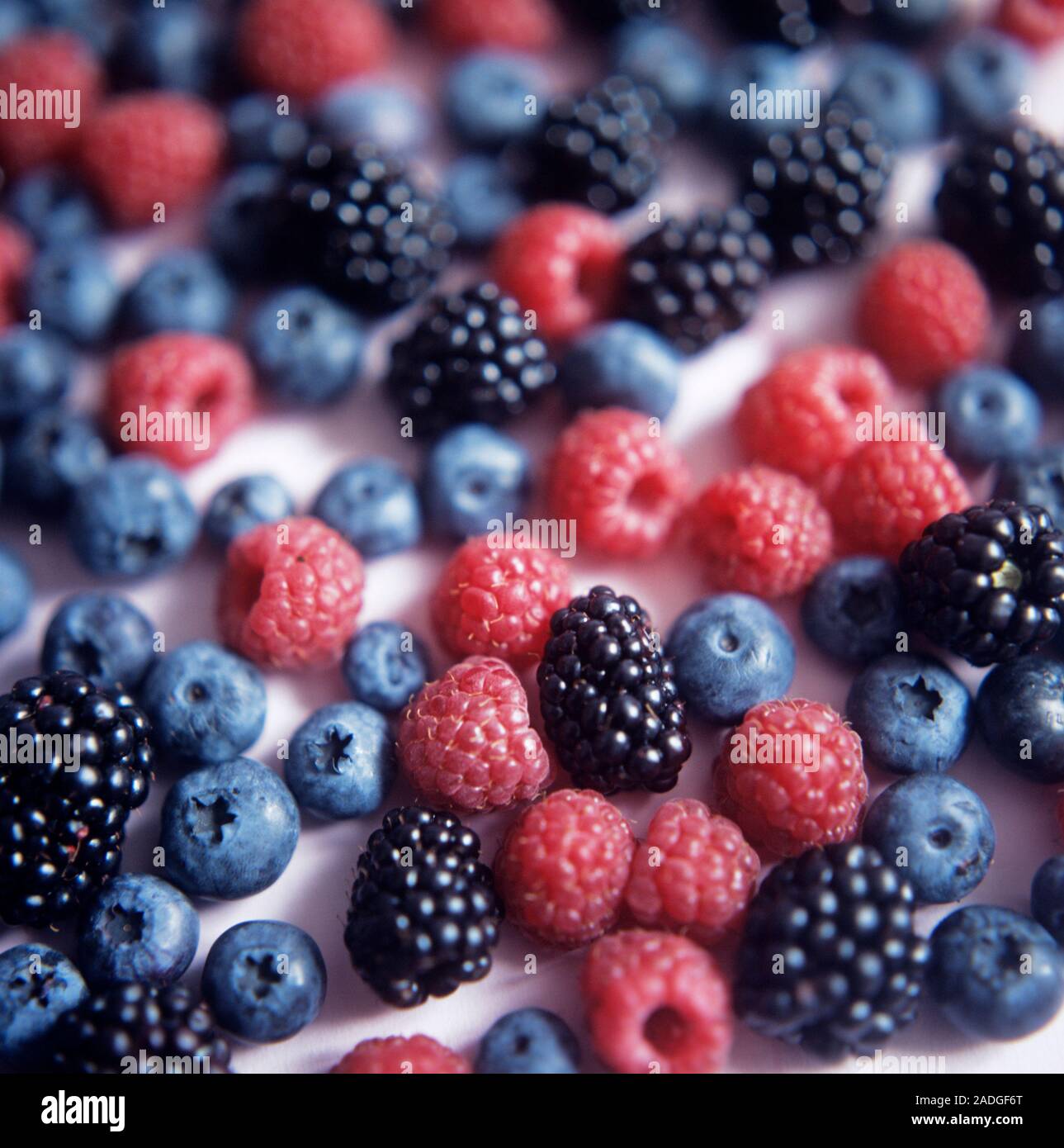 Mixed summer berries. Both raspberries (red) and blackberries (black ...