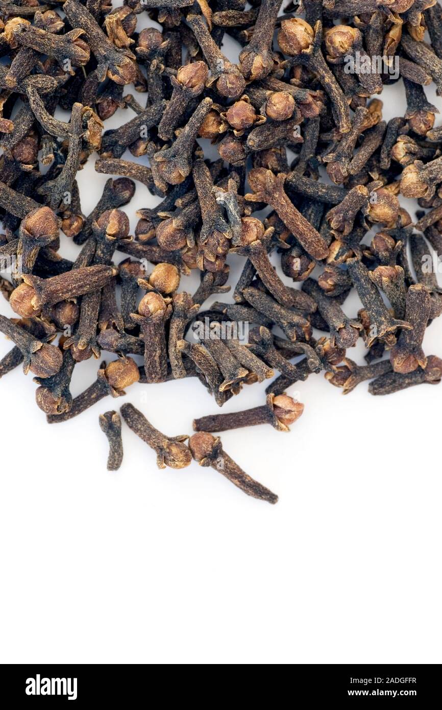 Cloves (Syzygium aromaticum). These are the dried flowering parts of ...