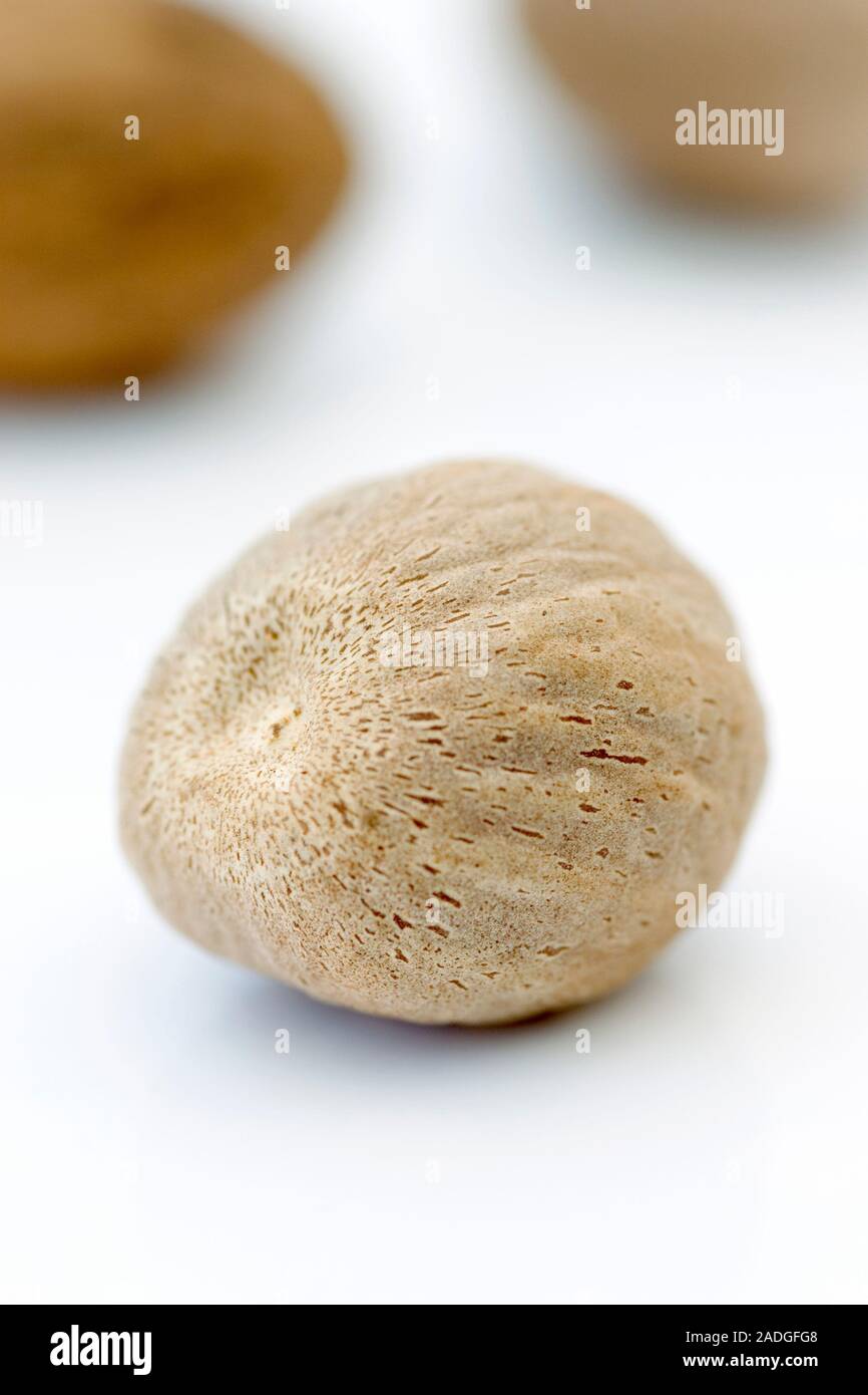 Nutmeg. This aromatic spice is the seed kernel of the nutmeg plant ...
