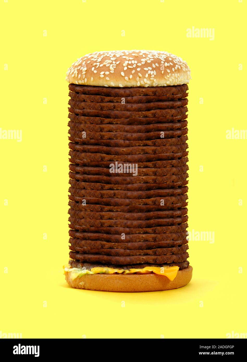 Unhealthy eating, conceptual image. Burger containing layers of ...