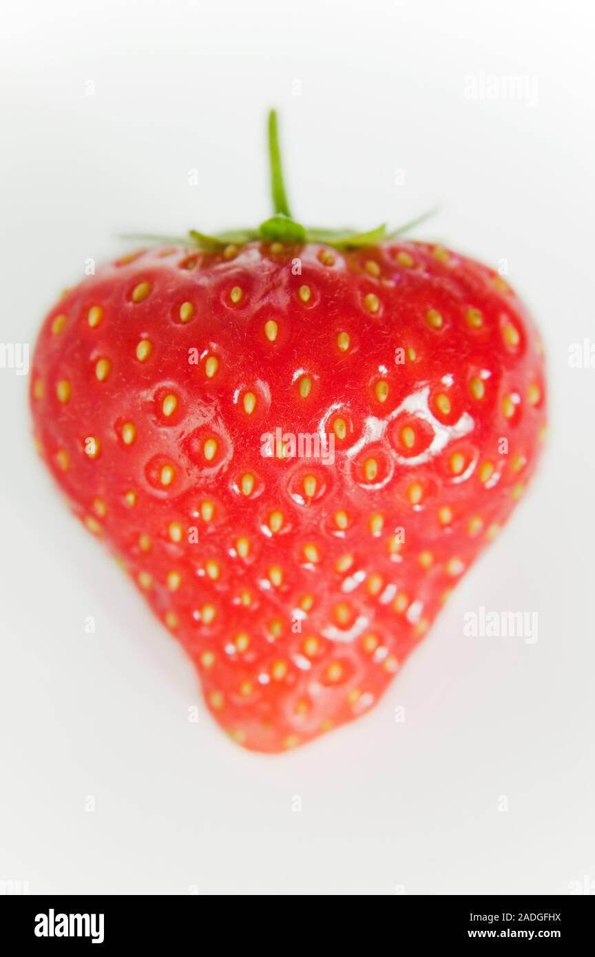 Strawberry (Fragaria sp Stock Photo - Alamy