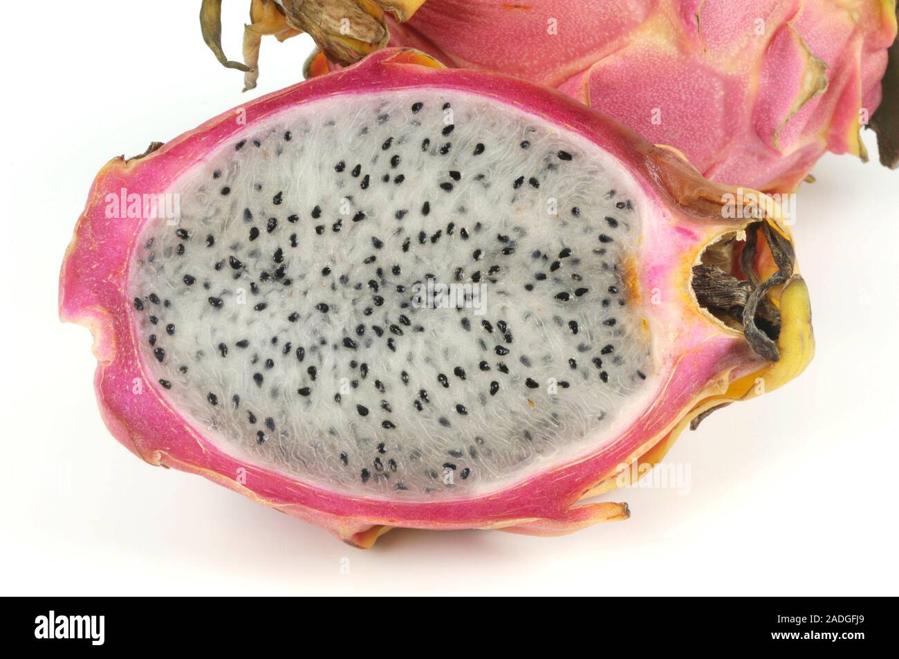 Pitahaya fruit. Whole and halved pitahaya fruit (Hylocereus undatus ...