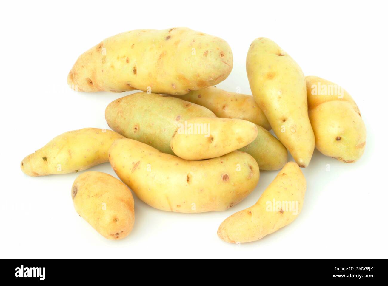 La ratte potatoes, a variety of the potato (Solanum tuberosum ...