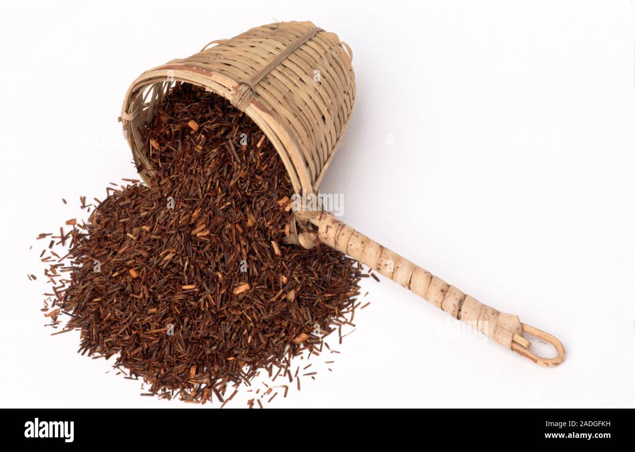 Rooibos tea (Aspalathus linearis) leaves. This tea is believed to have ...