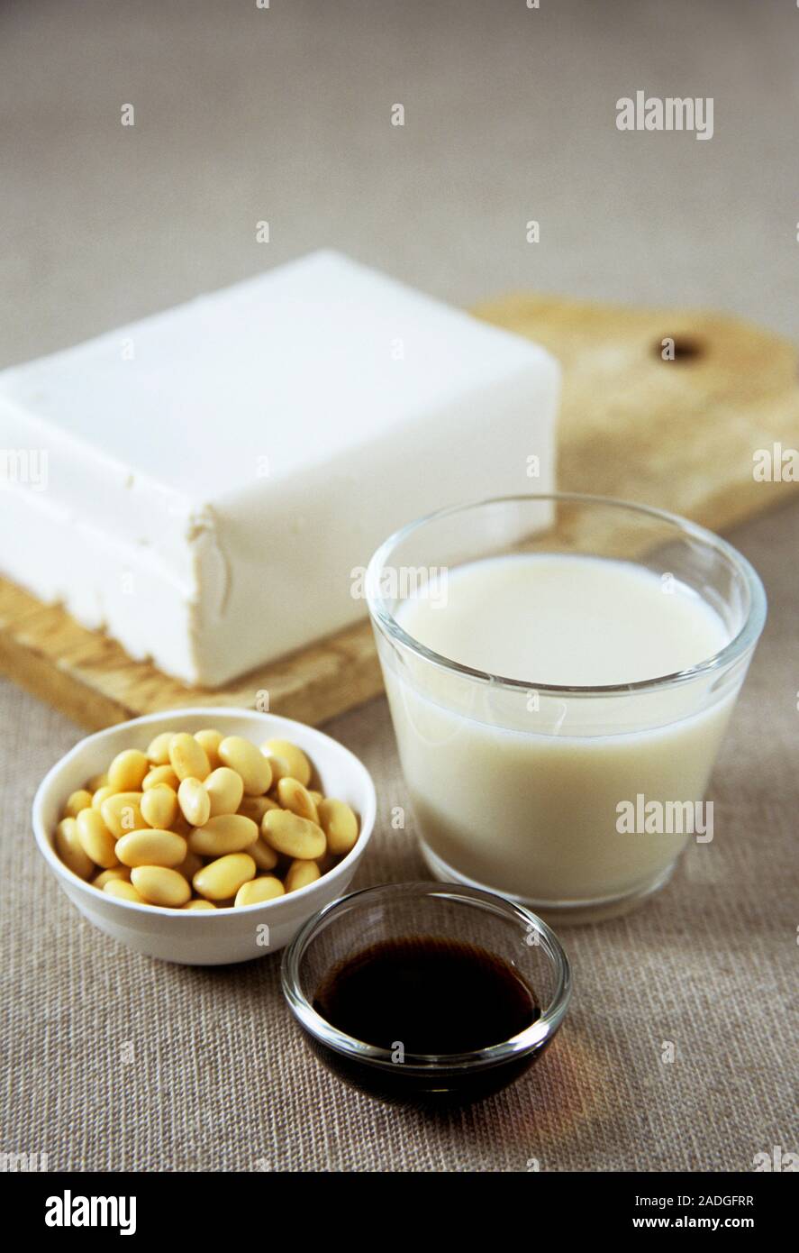 Soya products. Selection of food products derived from the soya bean ...