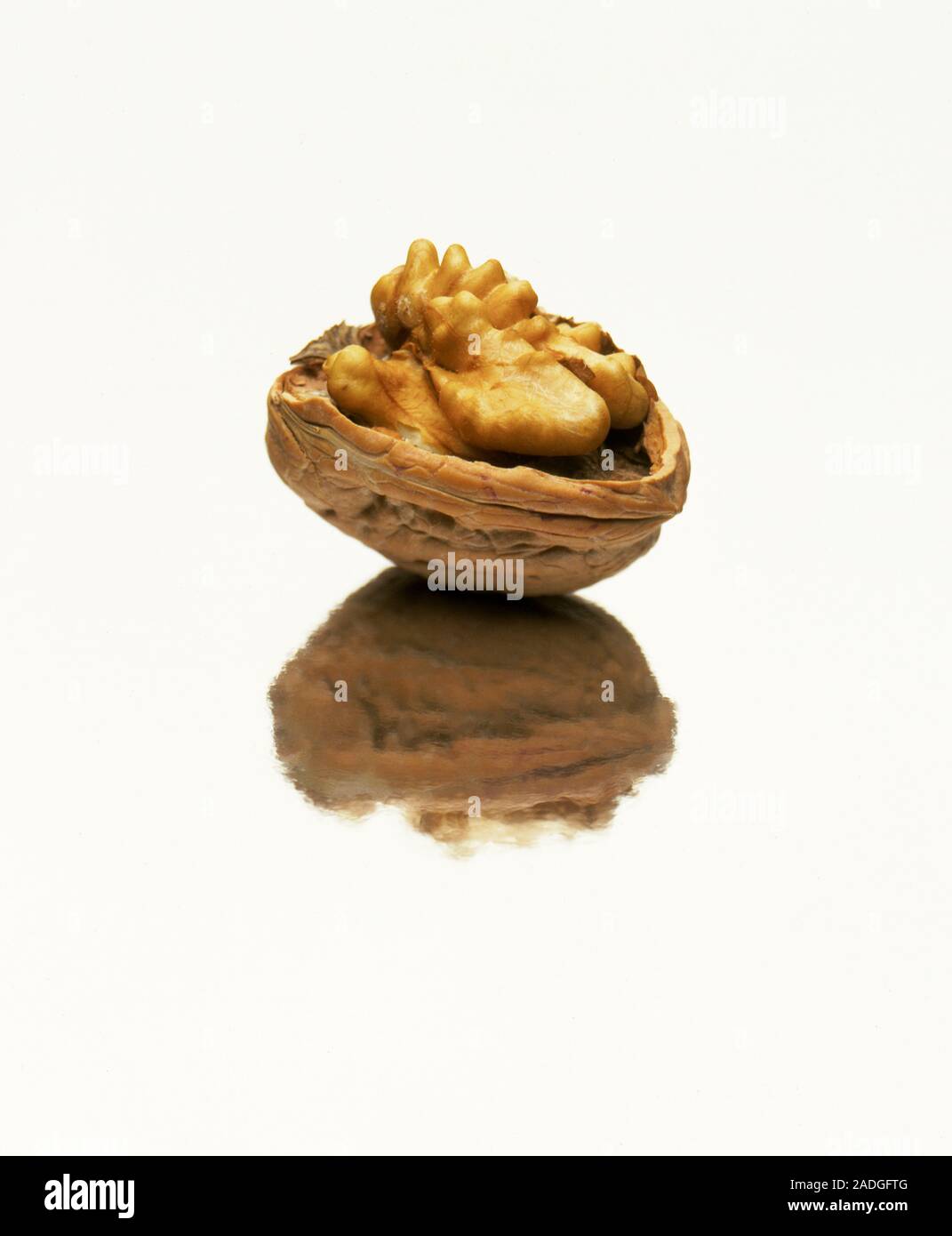 Walnut in half a walnut shell Stock Photo - Alamy