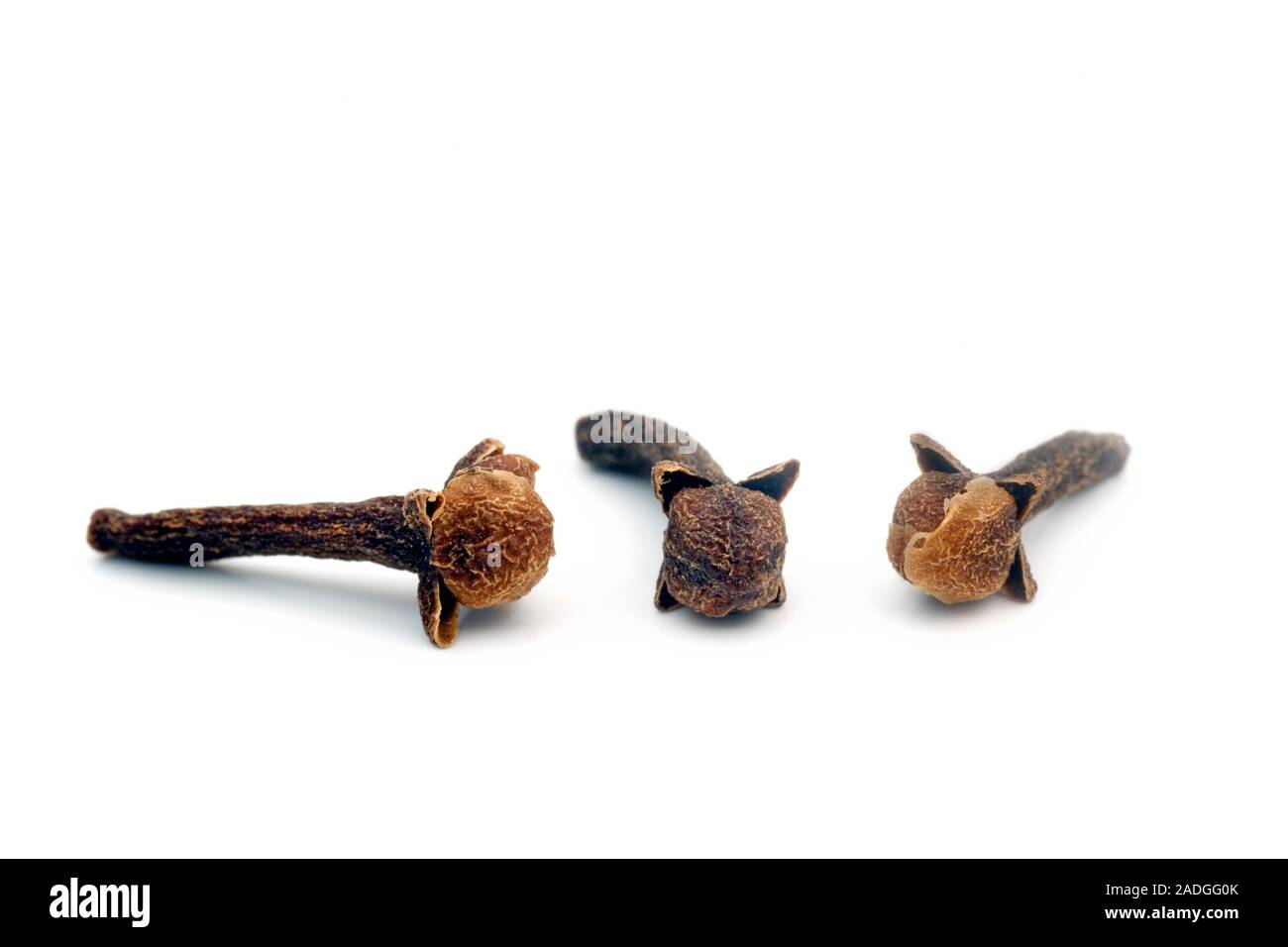 Cloves (Syzygium aromaticum). These are dried flower buds of a tree ...