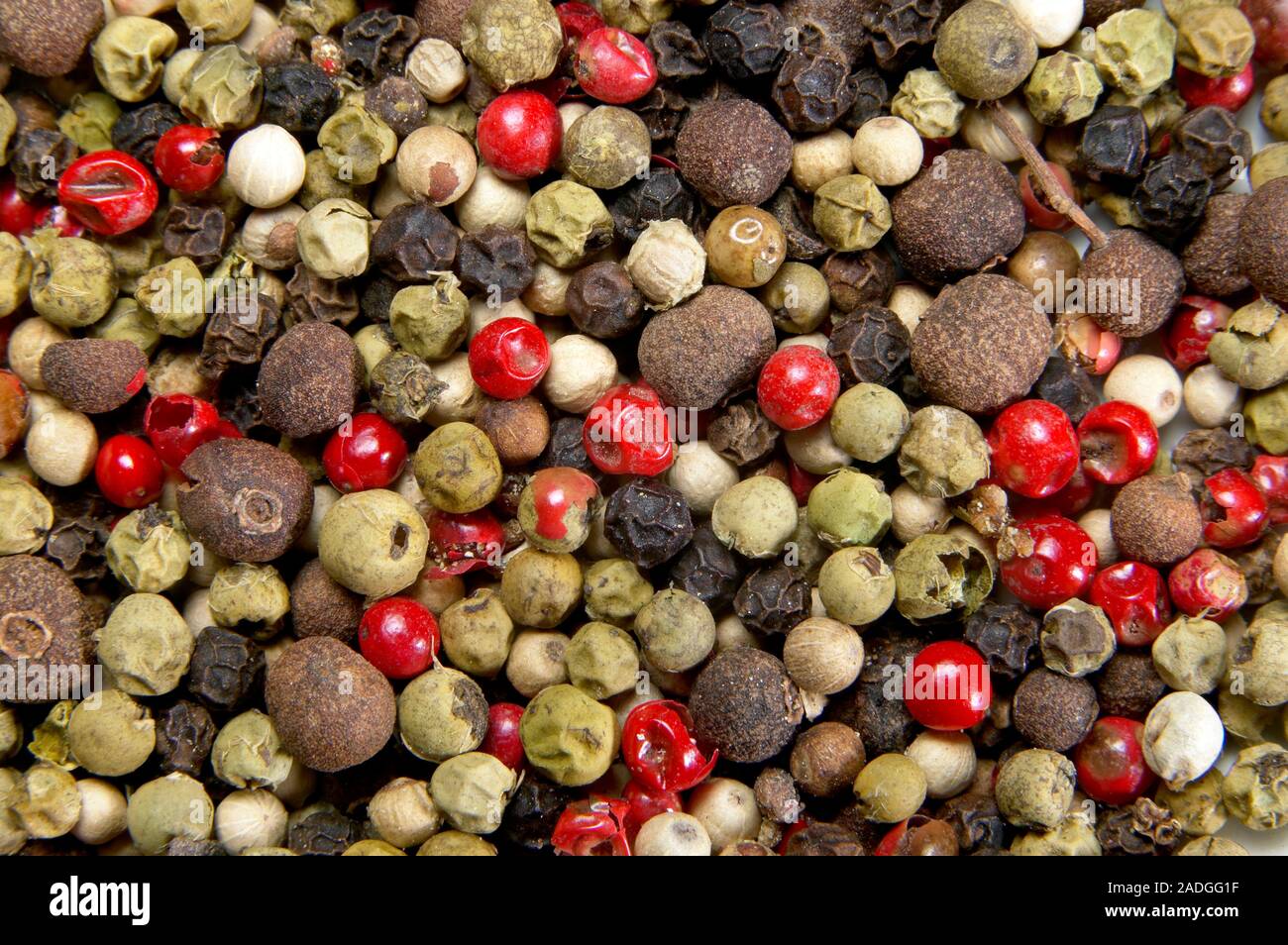 Mixed peppercorns. These include white, black, red and green pepper ...