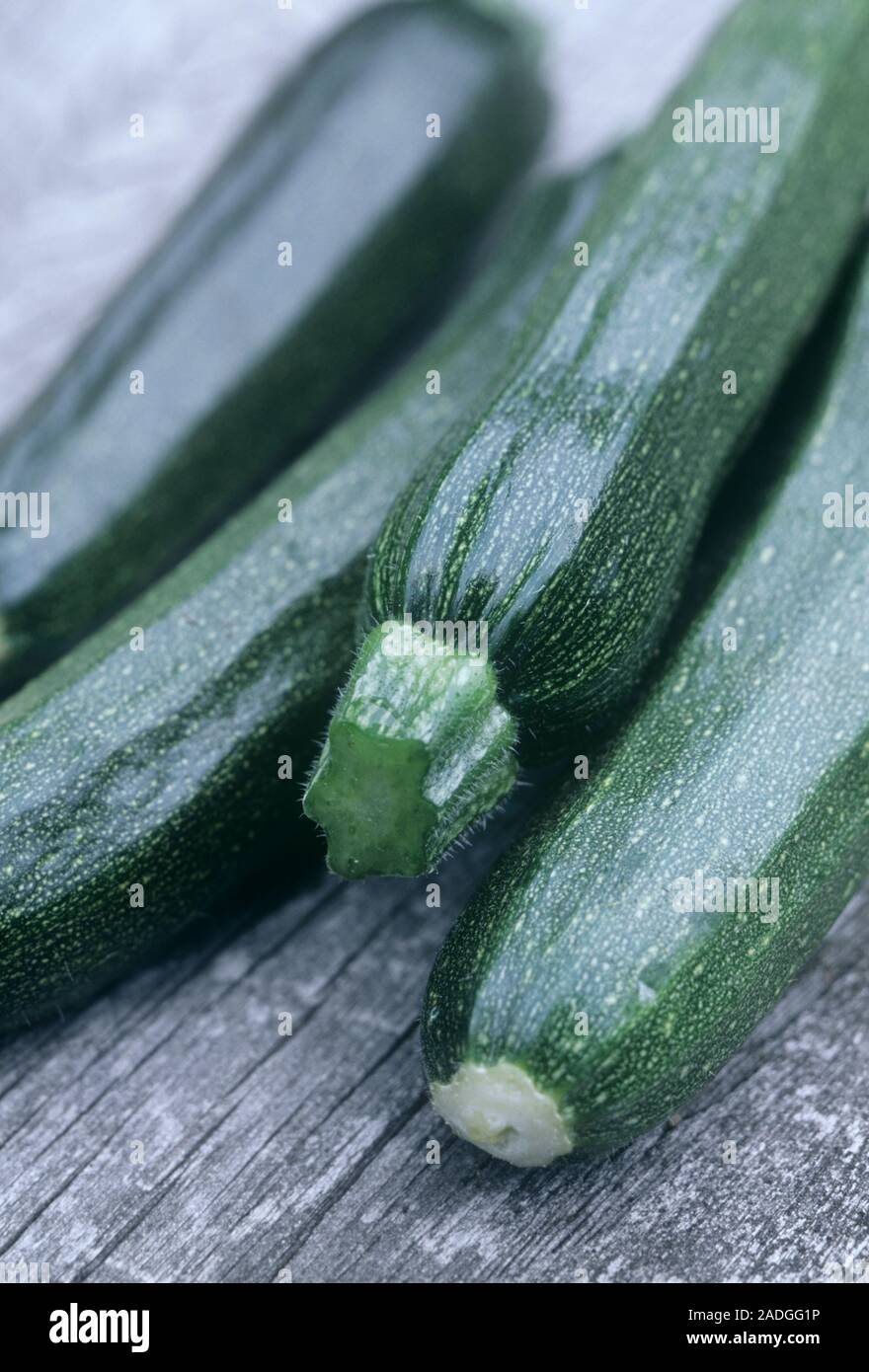 Four organic courgettes (Curcurbita pepo Stock Photo - Alamy
