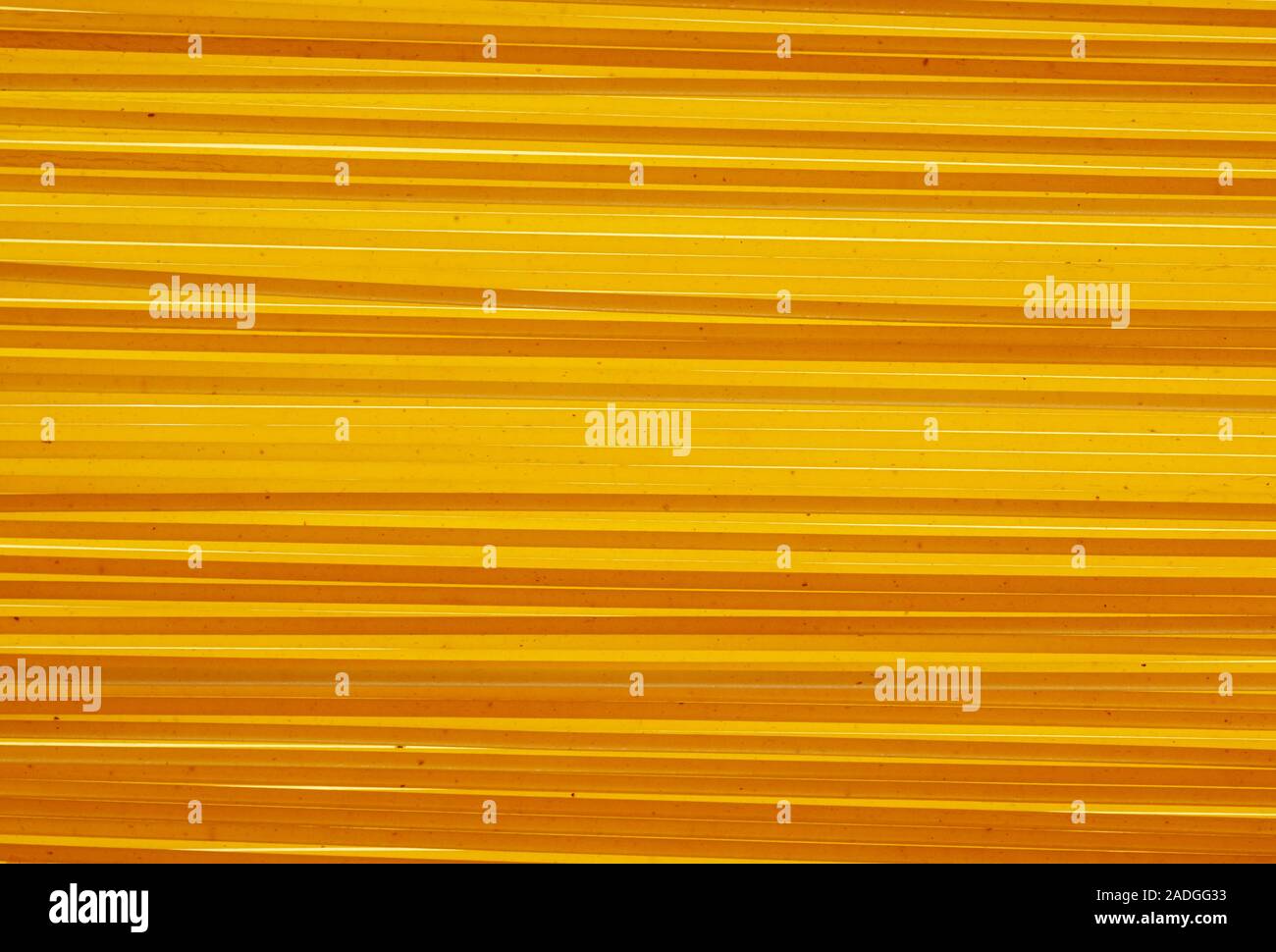 Spaghetti pasta strands Stock Photo - Alamy