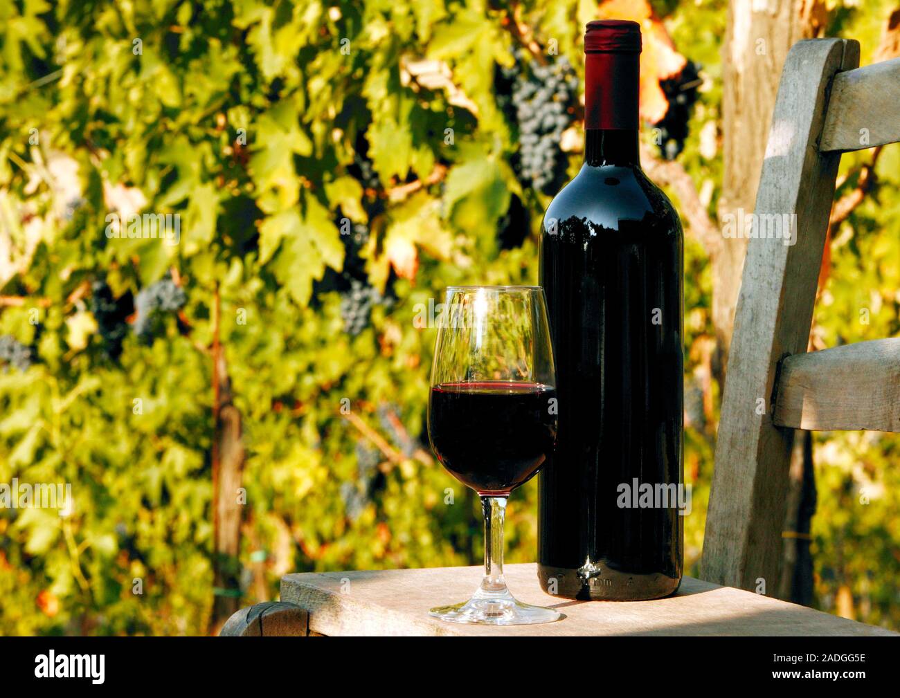 Red wine. Wine is an alcoholic drink made from fermented grape pulp. A ...
