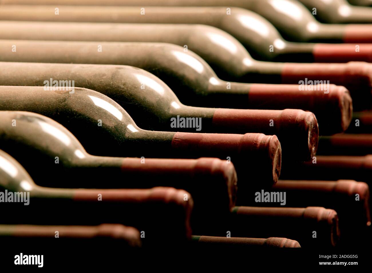 Red wine bottles. Wine is an alcoholic drink made from fermented grape ...