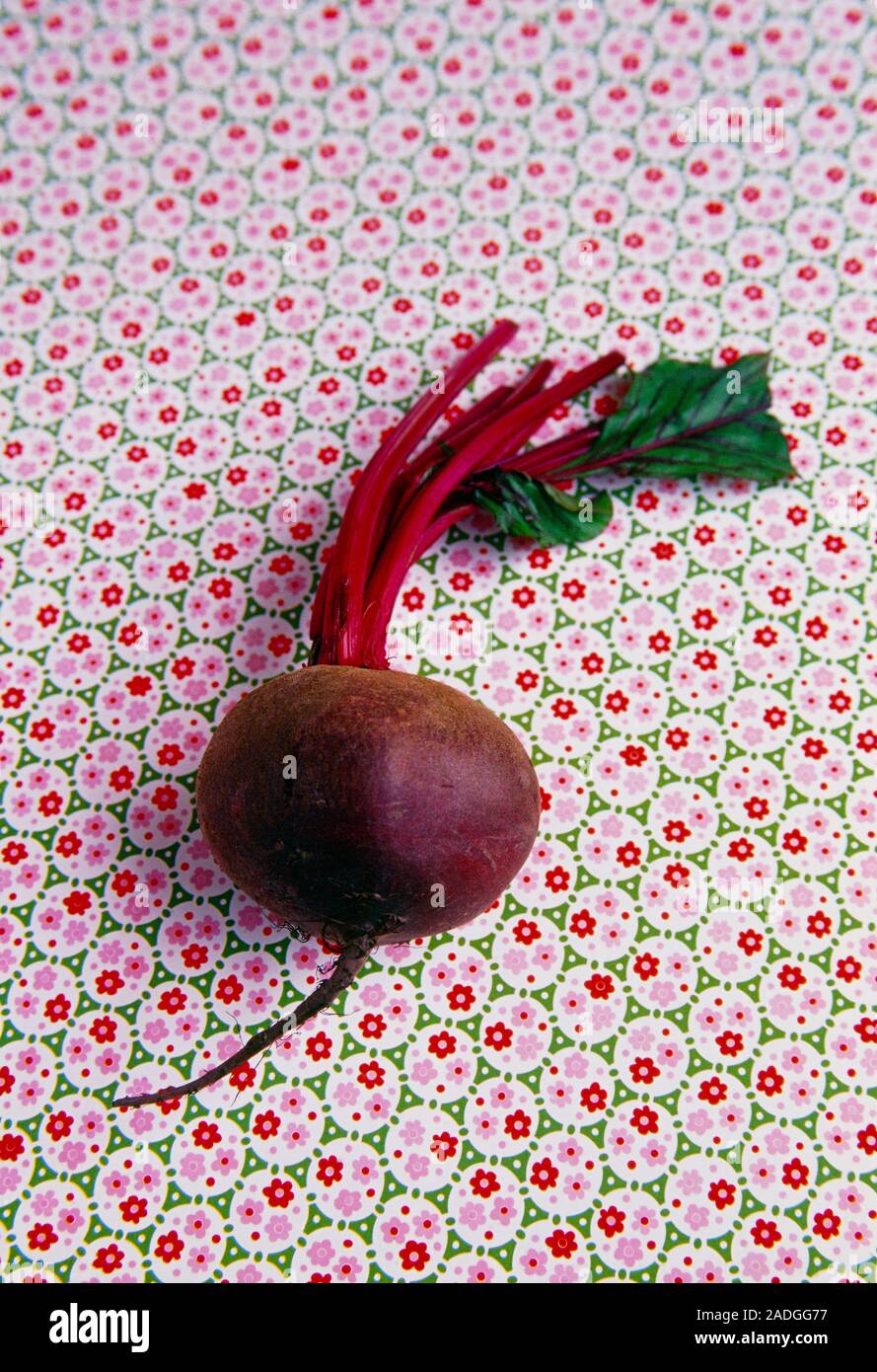 Beetroot (Beta vulgaris). This root vegetable is a good source of ...