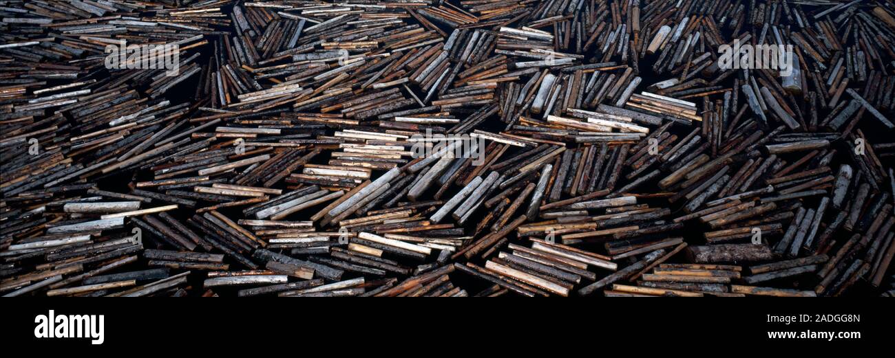 Wood logs floating on water hi-res stock photography and images - Alamy