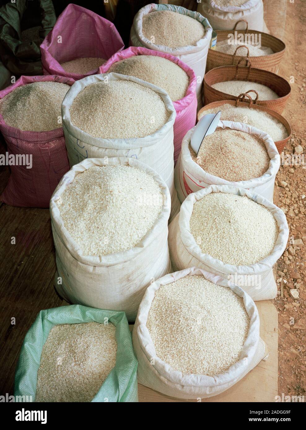 Harvested rice in bags ready to be sold. Photographed in Laos ...