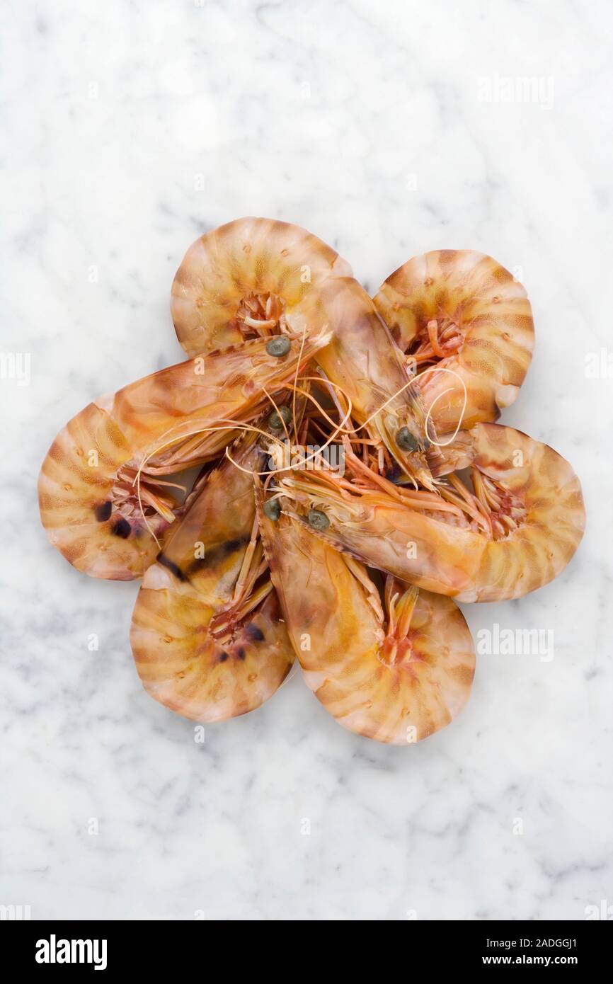 Fresh tiger prawns (Penaeus monodon) arranged in a circle Stock Photo ...