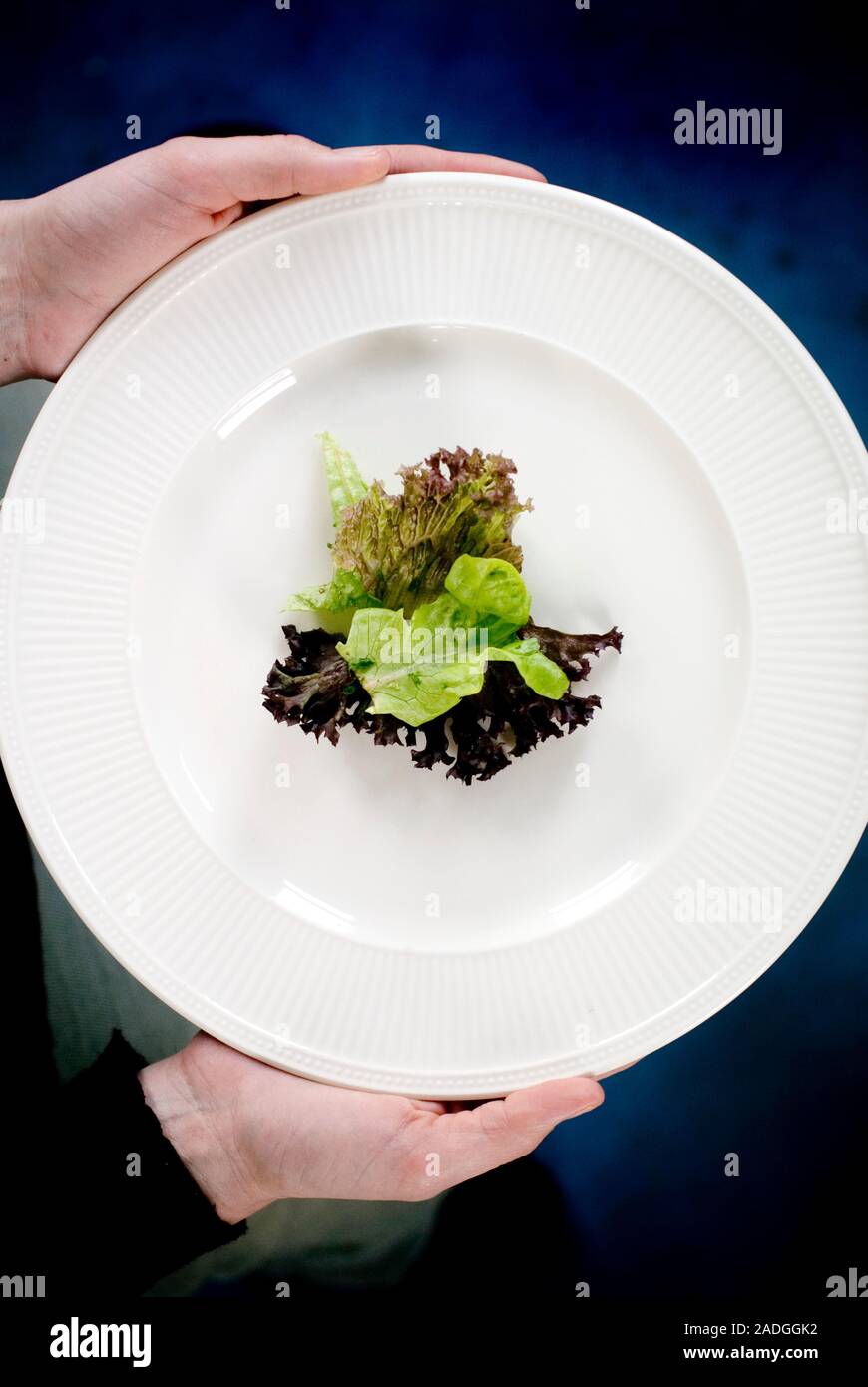Lettuce leaves on a plate. The extremely small portion size here could ...