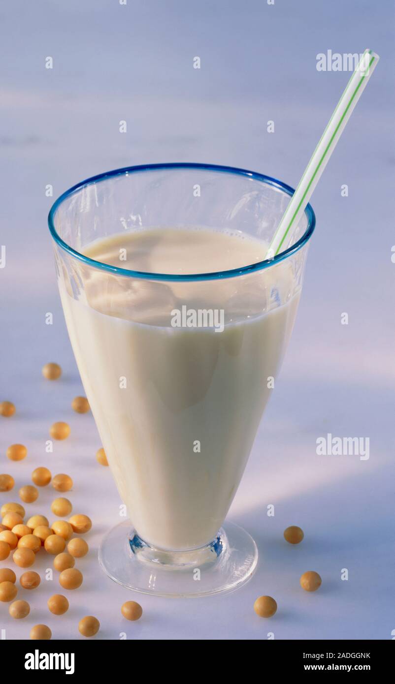 Soya milk. Glass of soya milk and some soya beans (Glycine max). Soya ...