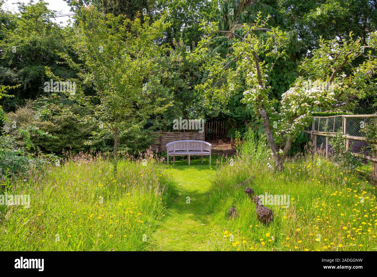 Naturalised meadow with wild flowers and seating area Stock Photo - Alamy