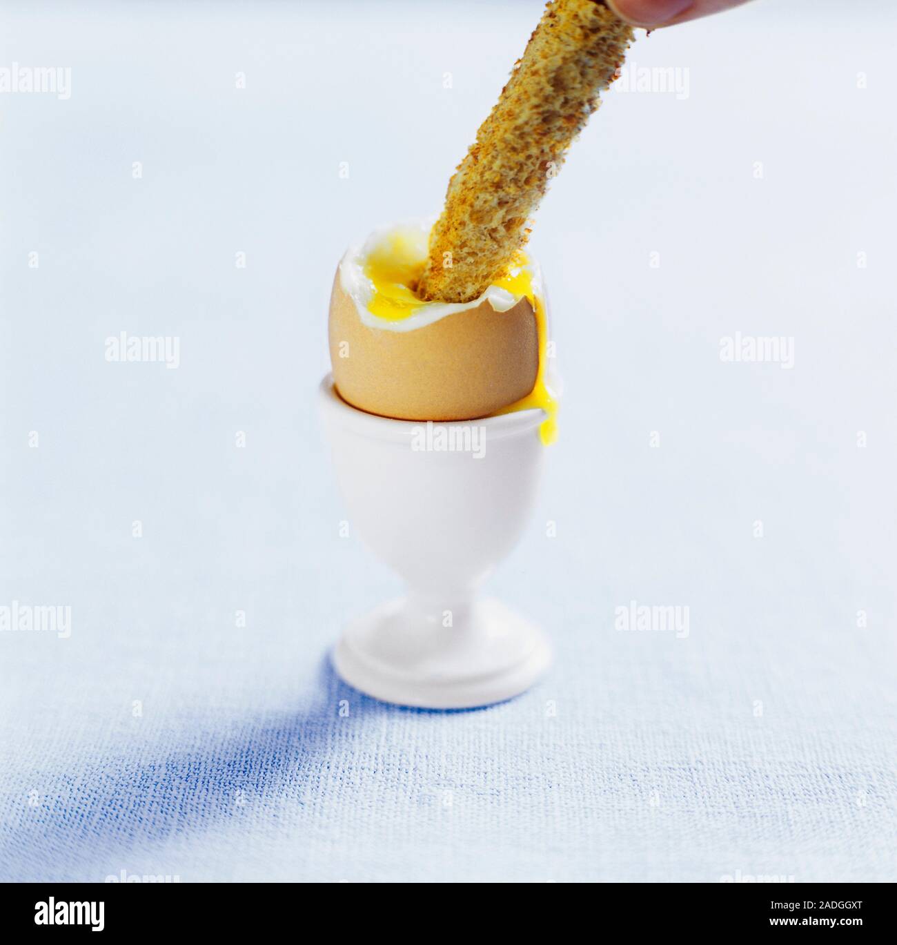 Boiled egg. Bread soldier being dipped into a boiled egg Stock Photo ...
