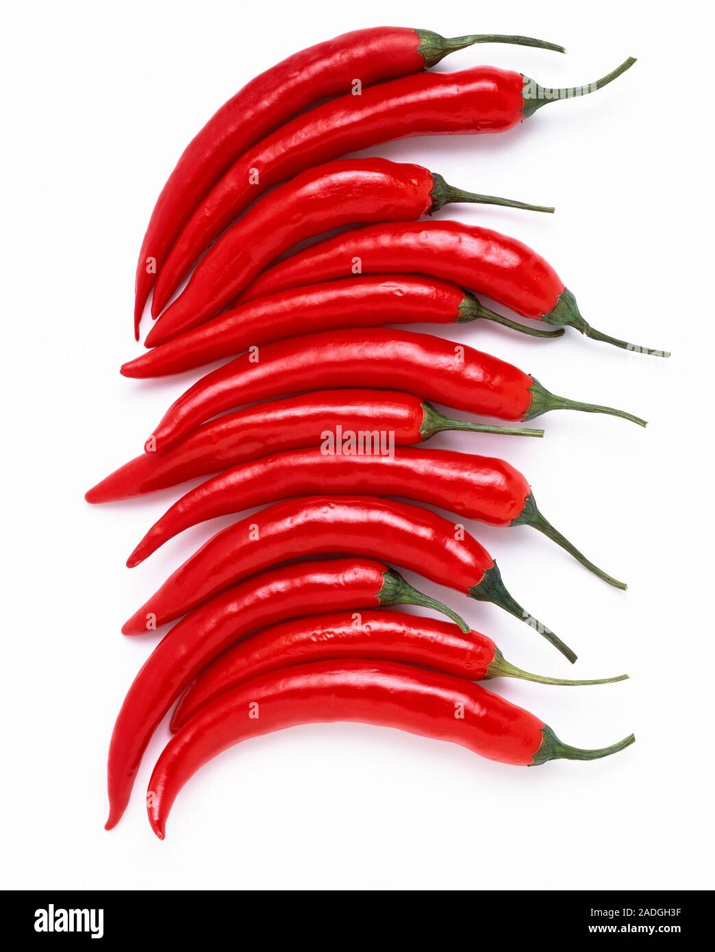 Red chilli peppers (Capsicum sp Stock Photo - Alamy