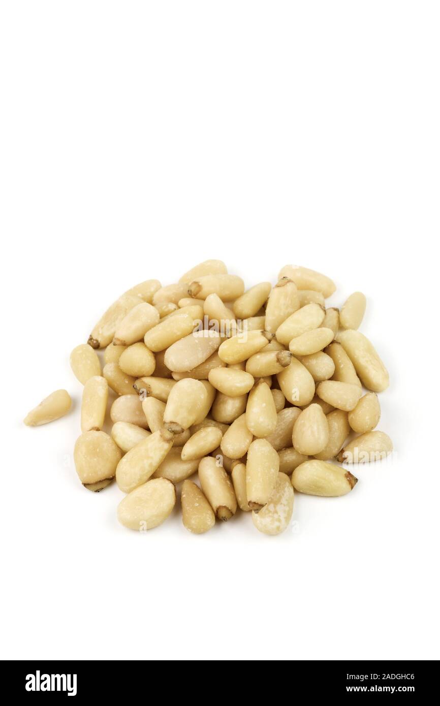 Pine nuts (Pinus sp Stock Photo - Alamy