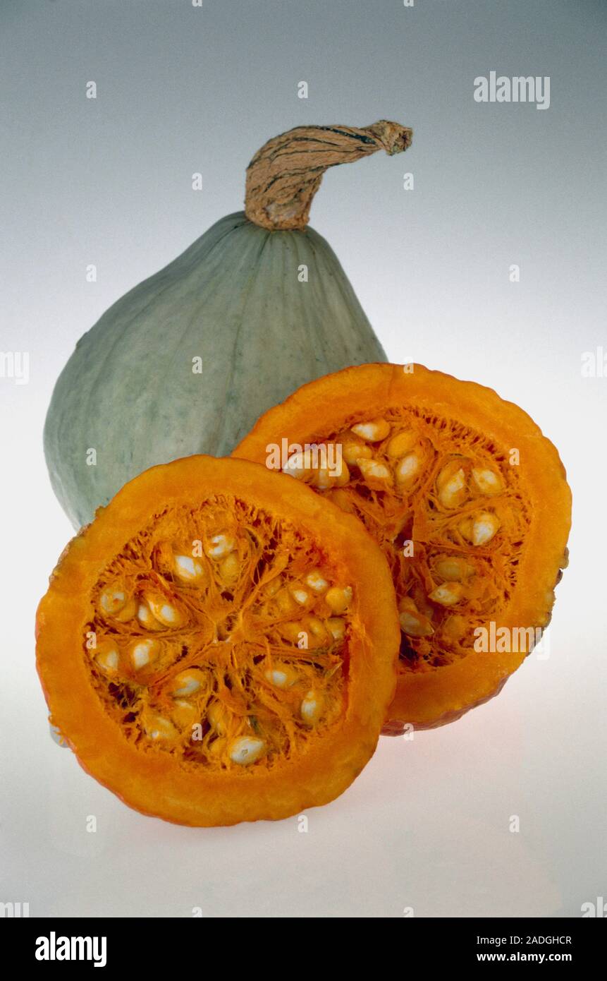 Hubbard squash (Cucurbita maxima). Halved and whole squashes Stock ...