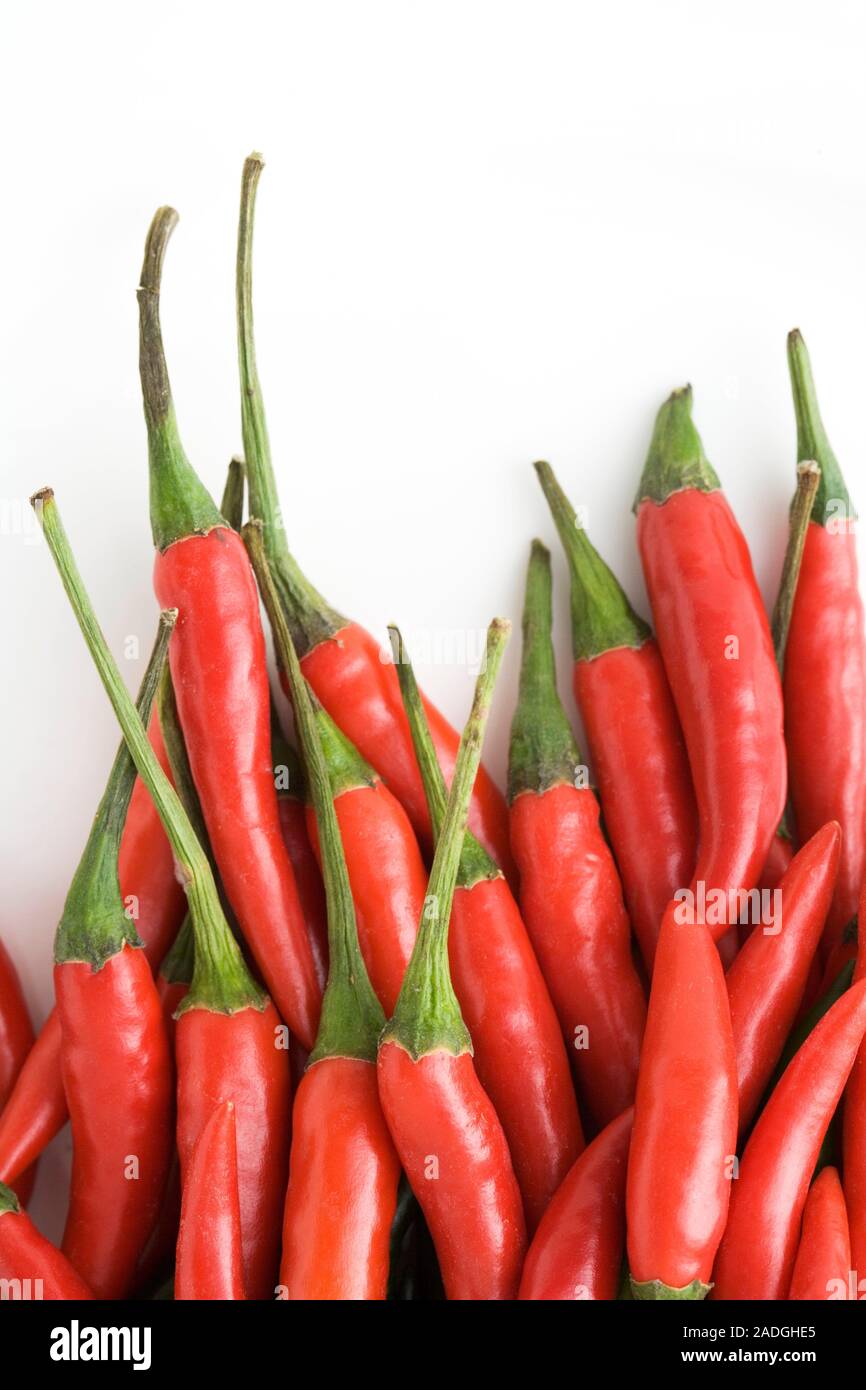 Red chilli peppers (Capsicum sp Stock Photo - Alamy